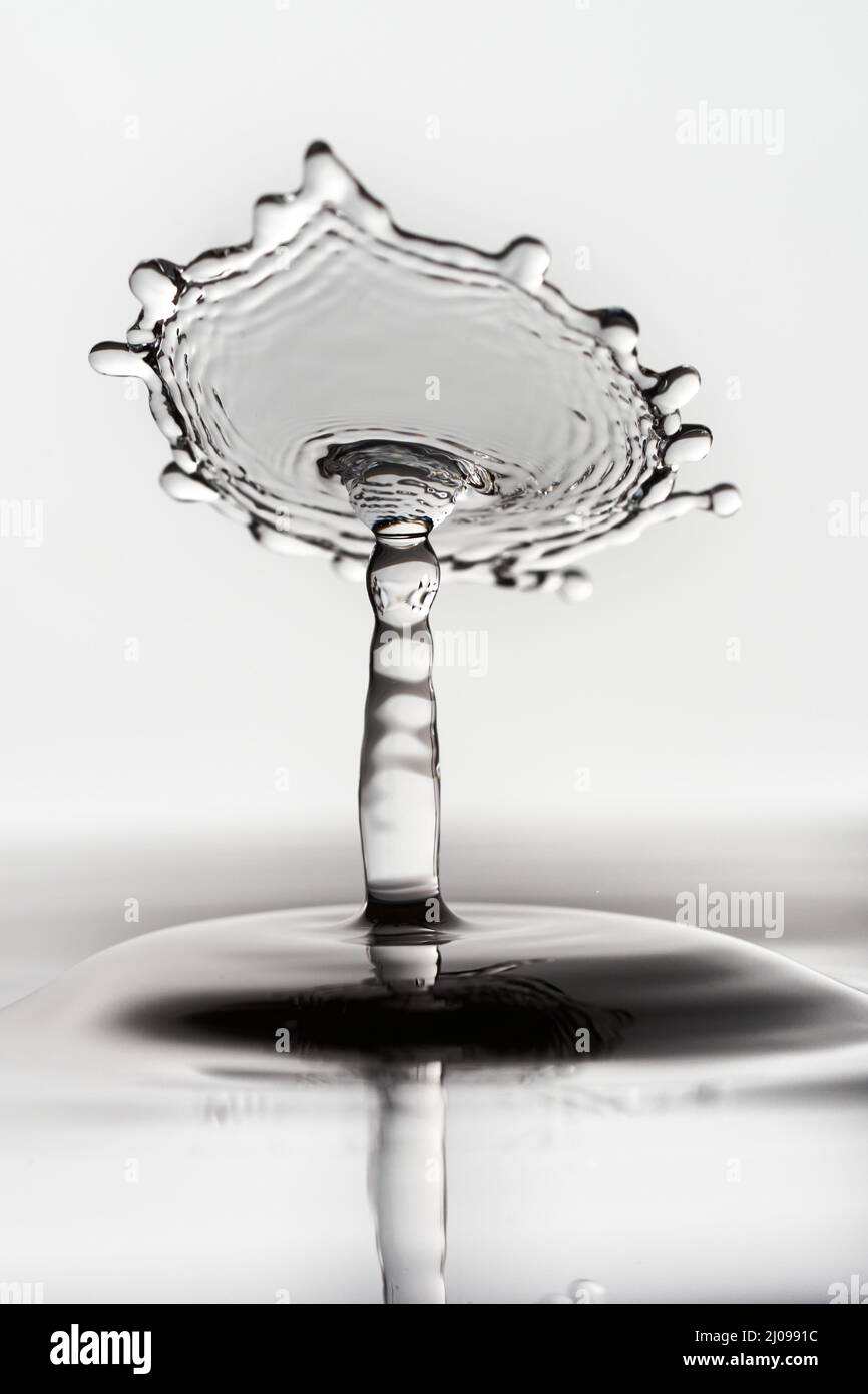 Closeup of a water splash on a grey background Stock Photo - Alamy