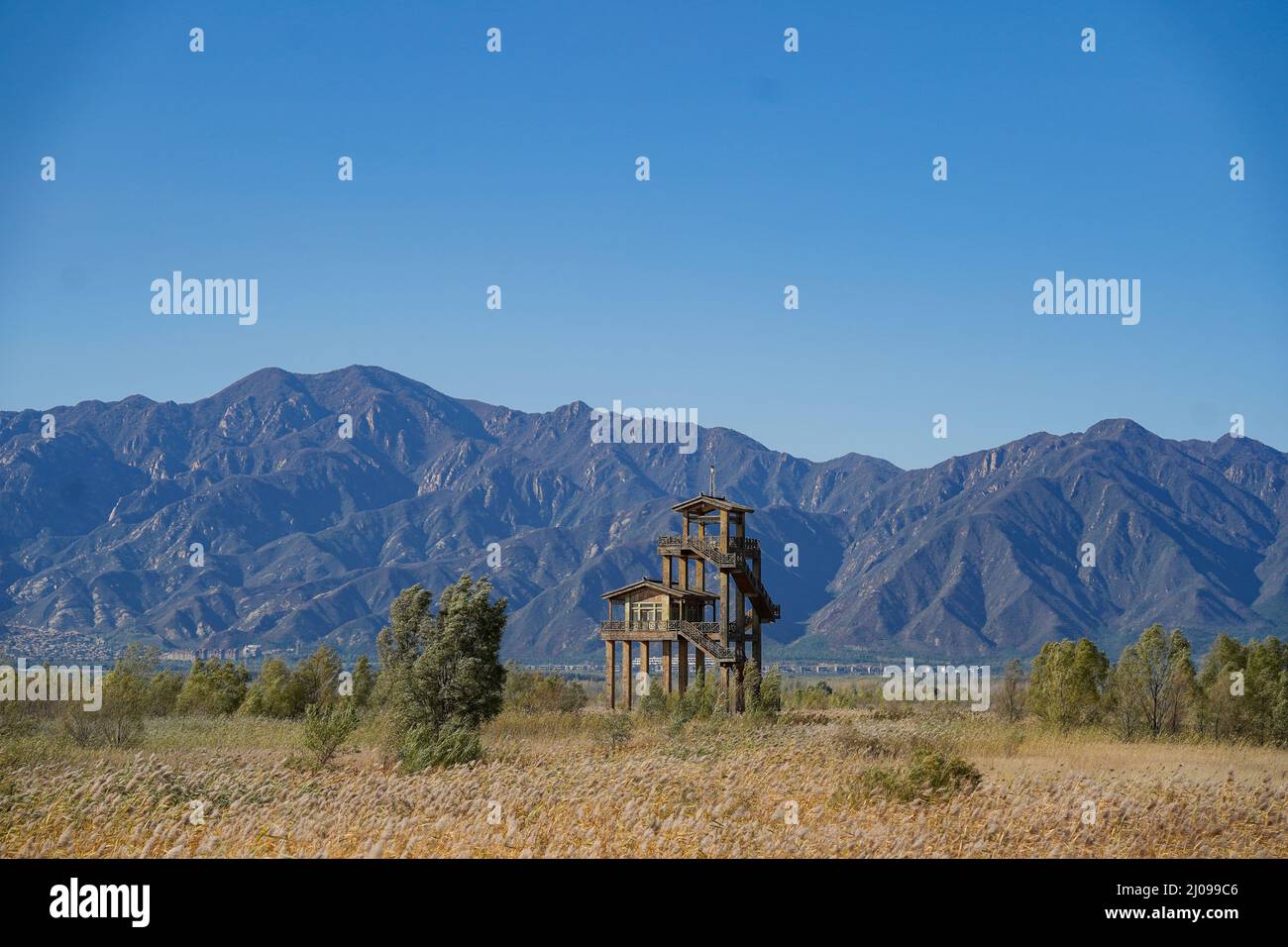 Beautiful scene of a watchtower standing in a field, trees and ...
