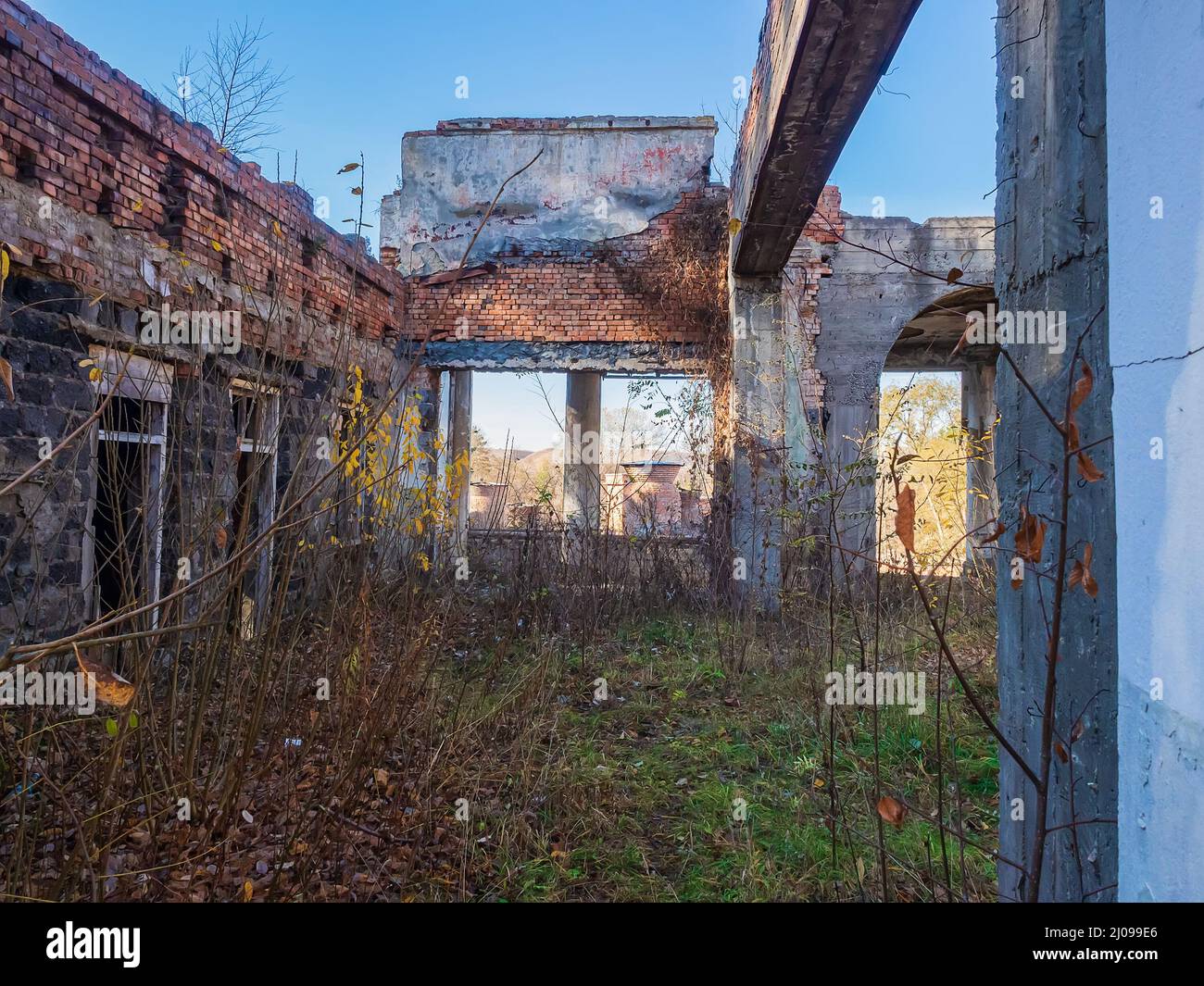 Ruins of an abandoned building overgrown with trees and grass and ...