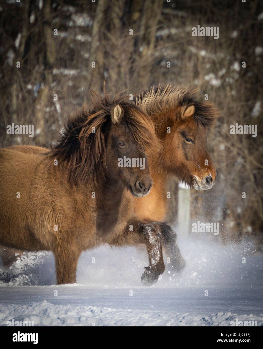 Pair dancing together hi-res stock photography and images - Alamy