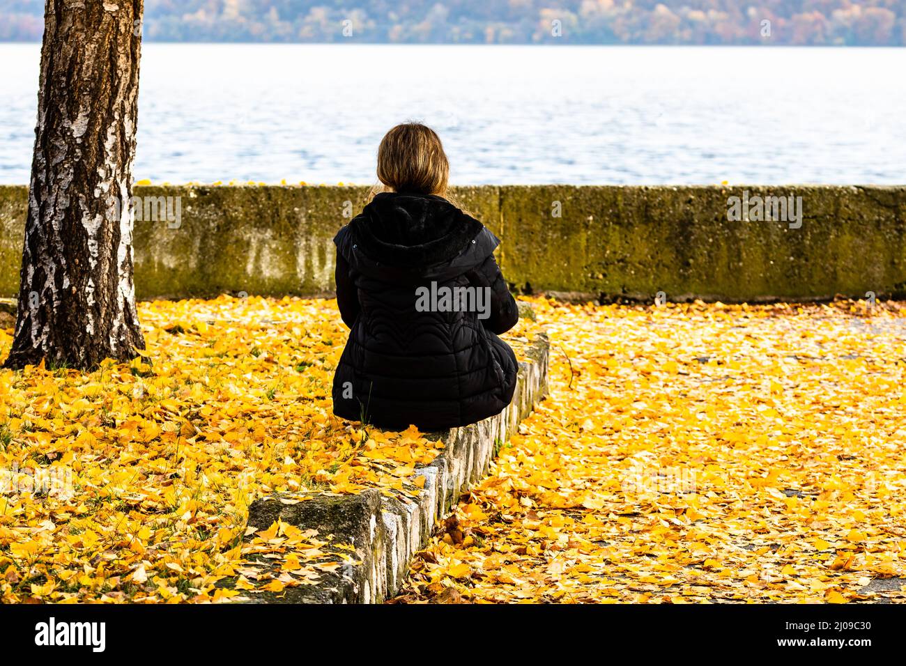 Autumn leaves fallen on standing alone woman on the autumn alley ...