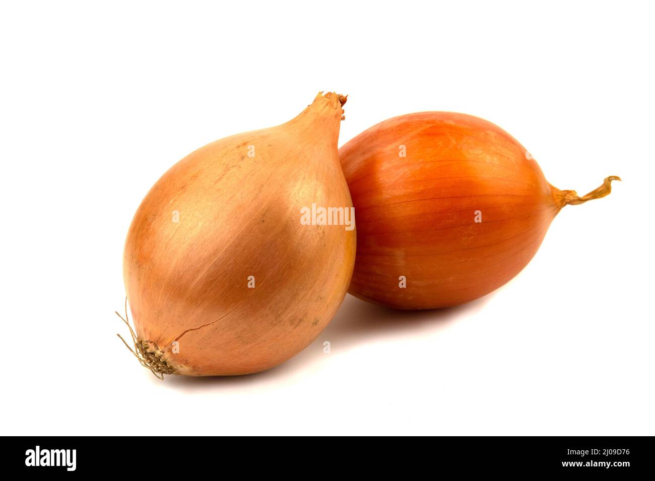 Two yellow onion isolated on white background Stock Photo - Alamy
