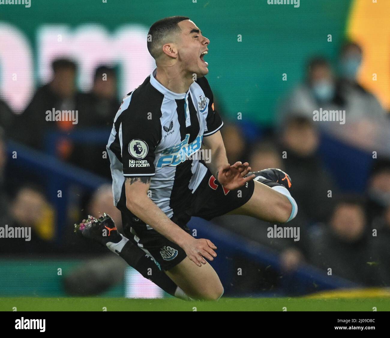 Miguel Almiron #24 of Newcastle United takes a knock and ends up on the ...