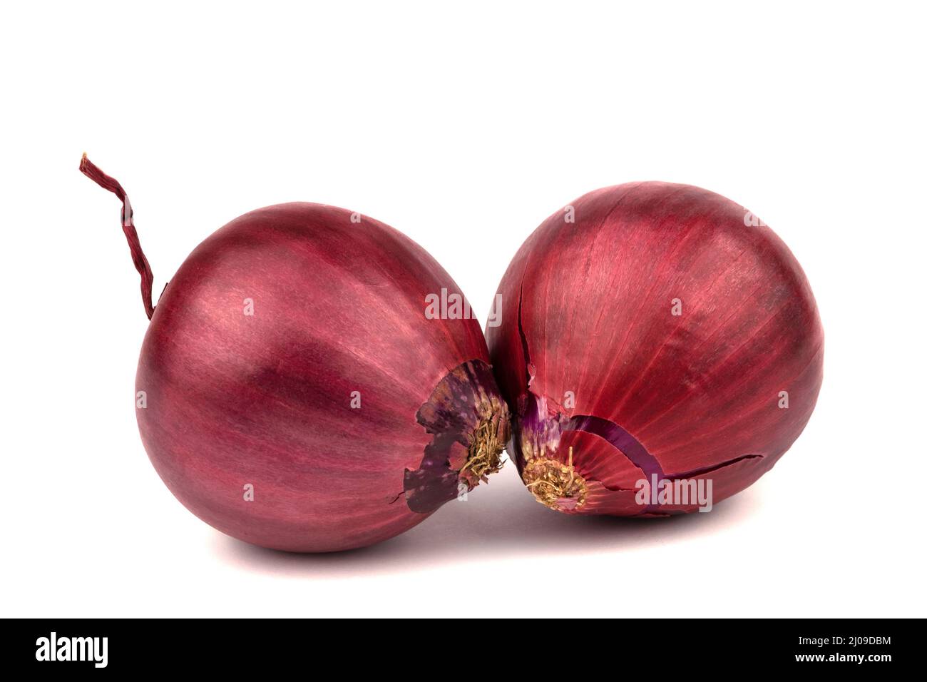 two whole red onion bulbs close-up isolated on white background Stock ...