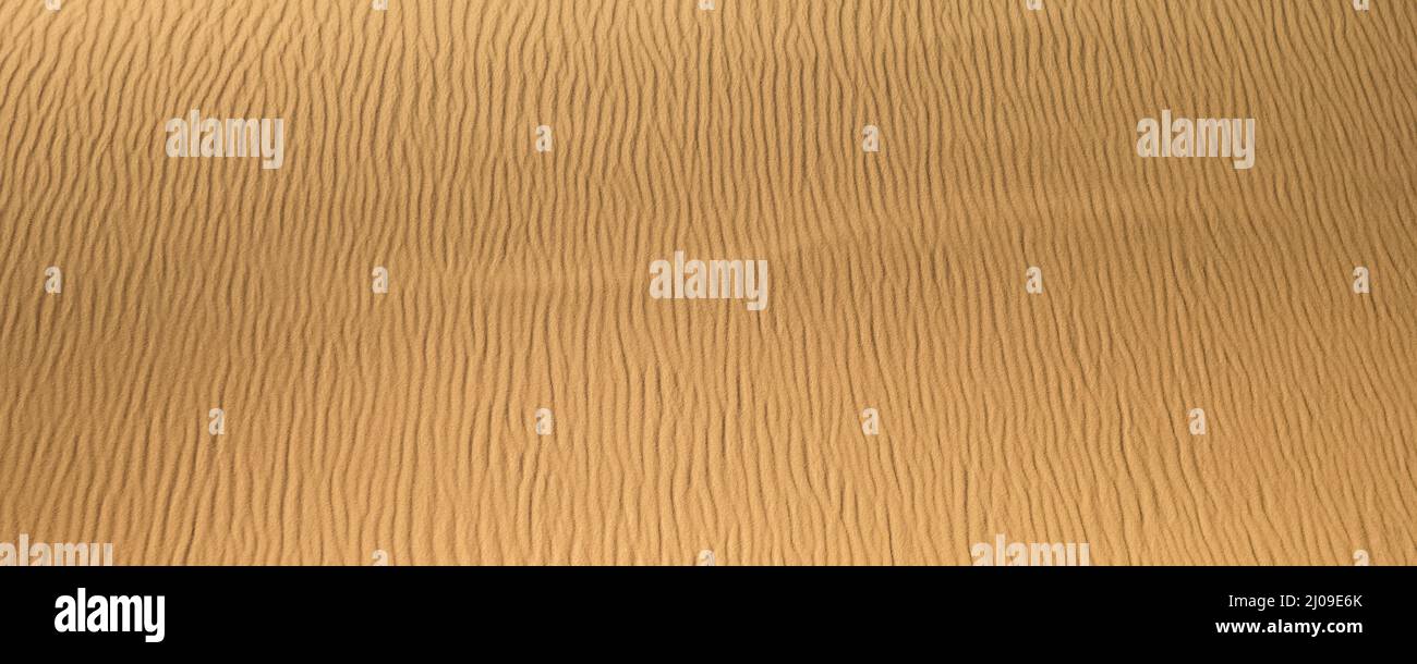 Namibia, the Namib desert, graphic landscape of yellow dunes Stock ...