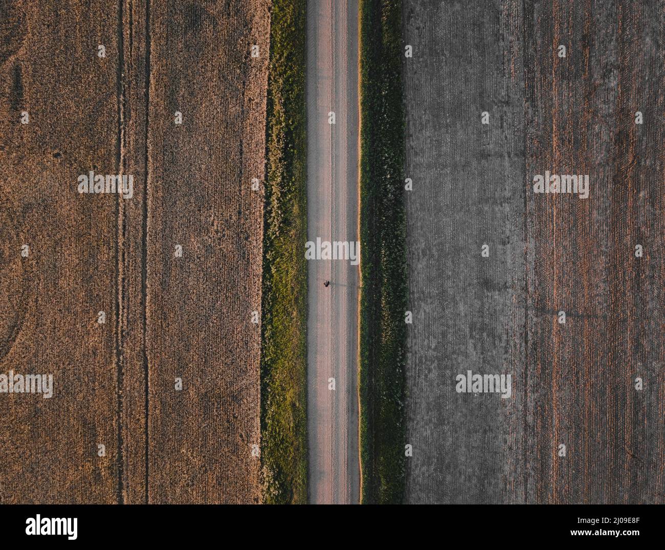 Top view of an empty road with fields Stock Photo - Alamy