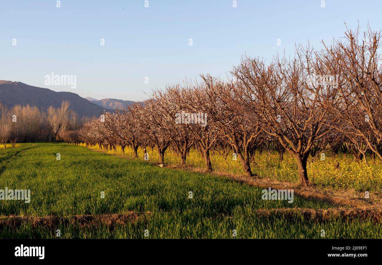 Beautiful farm up view hi-res stock photography and images - Alamy