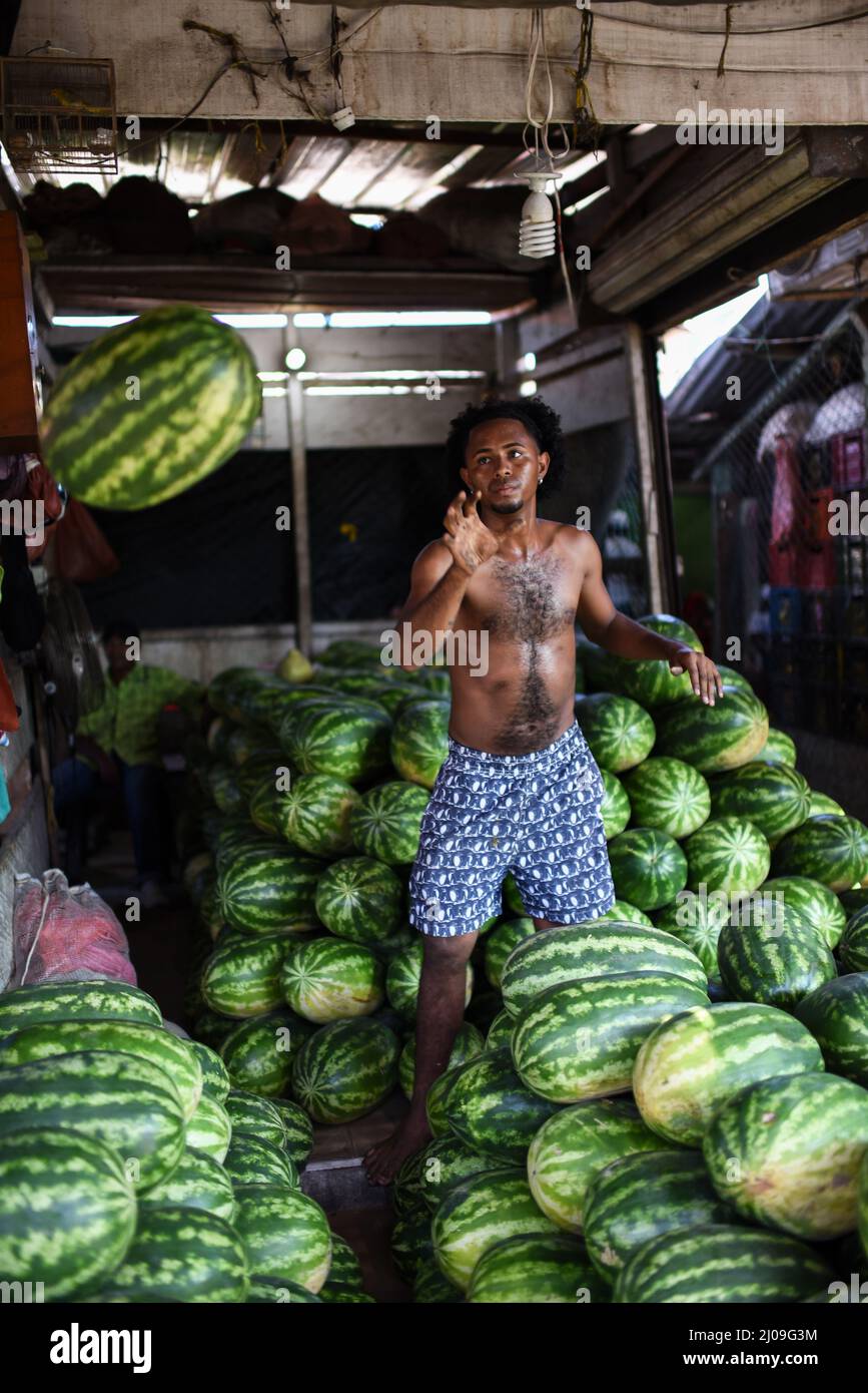 Watermelon sellers at Cartagena's local popular Bazurto market ...