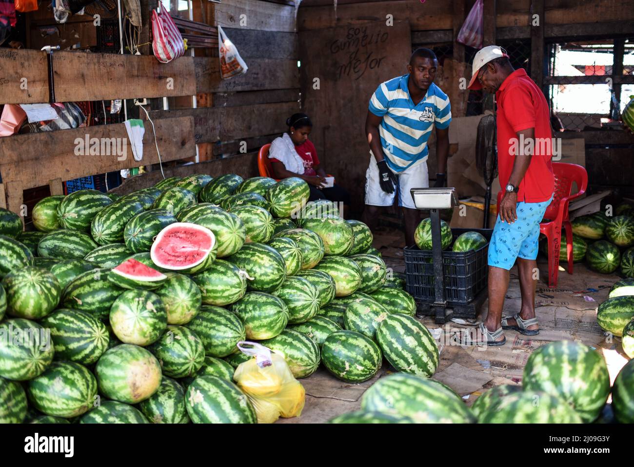 Watermelon sellers at Cartagena's local popular Bazurto market ...