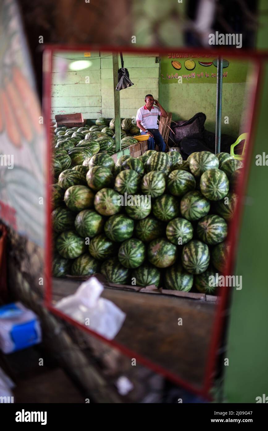 Watermelon sellers at Cartagena's local popular Bazurto market ...