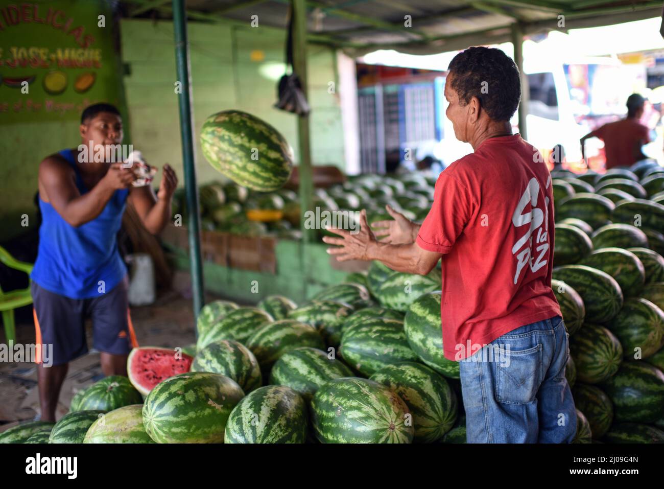 Watermelon sellers at Cartagena's local popular Bazurto market ...