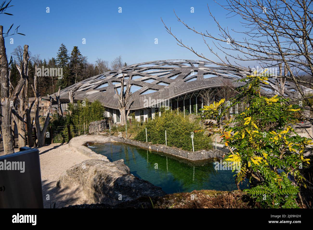 Pool and the timber roofing of the elephant house at Zoo Zurich in ...