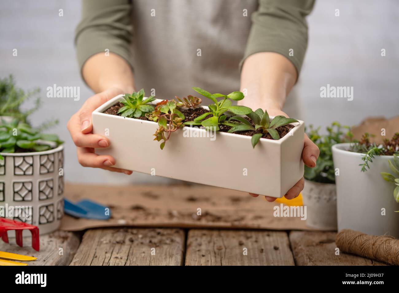Close up shows pot hi-res stock photography and images - Alamy