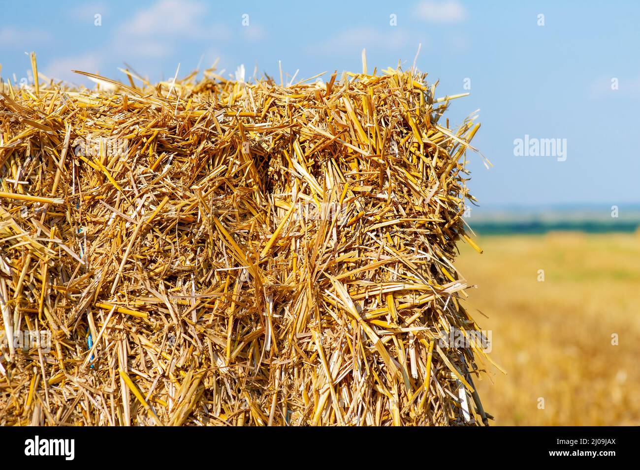 Harvesting. Haystack on a background of deep sky with clouds Stock ...