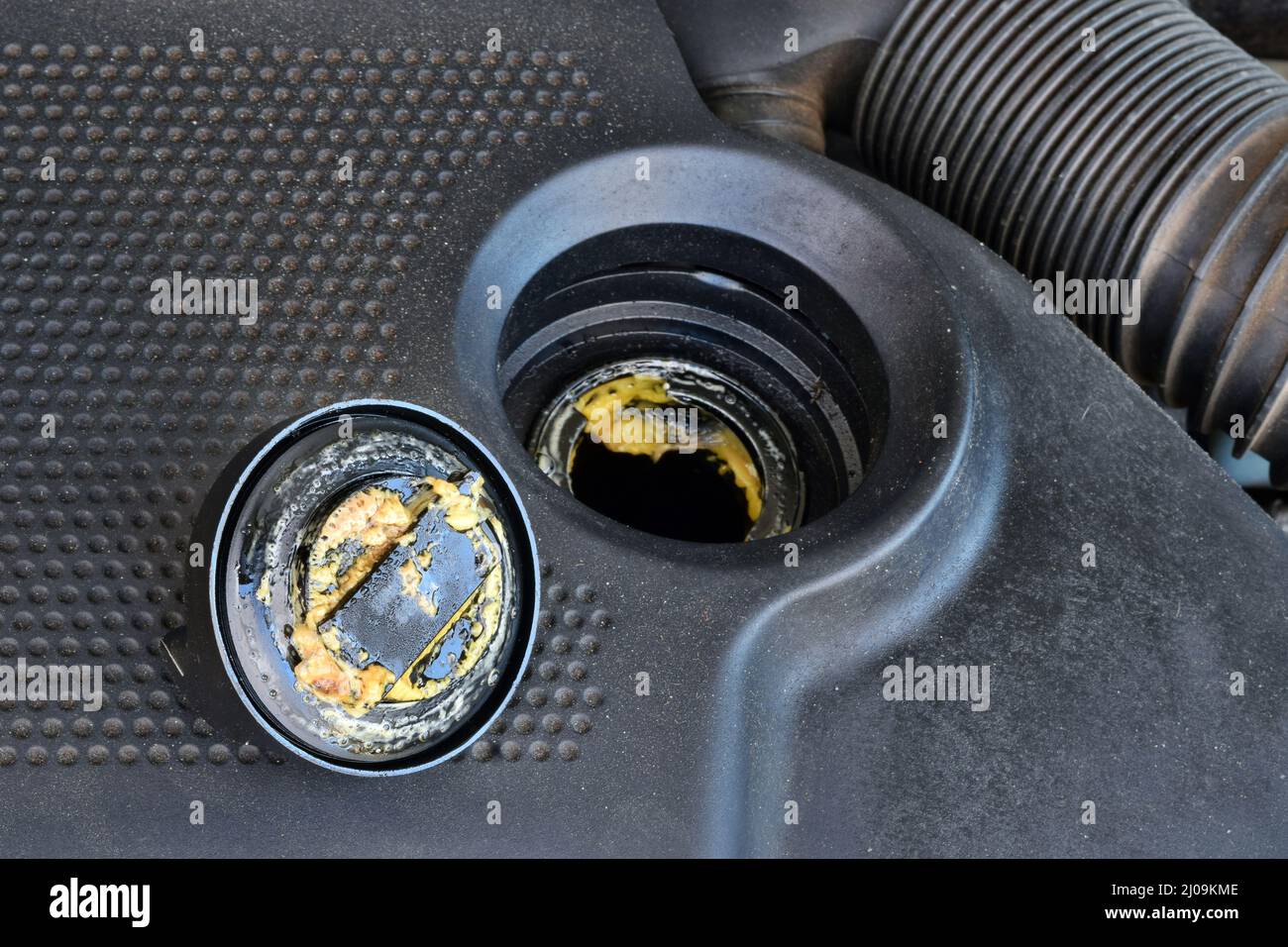 The thick, greasy yellow motor oil under oil cap as signs and symptom ...
