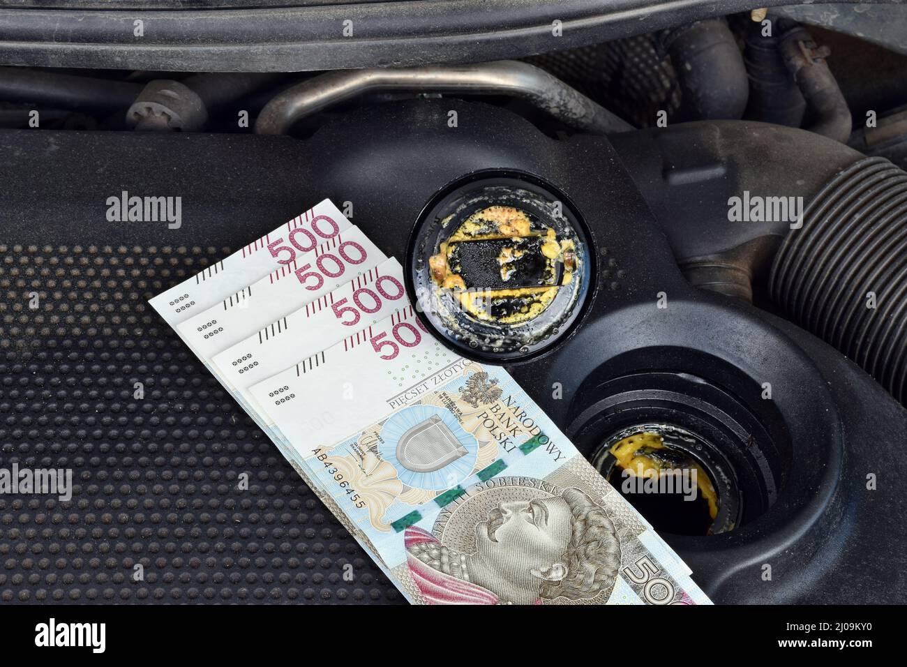 Polish money currency and the thick, greasy yellow motor oil under oil ...