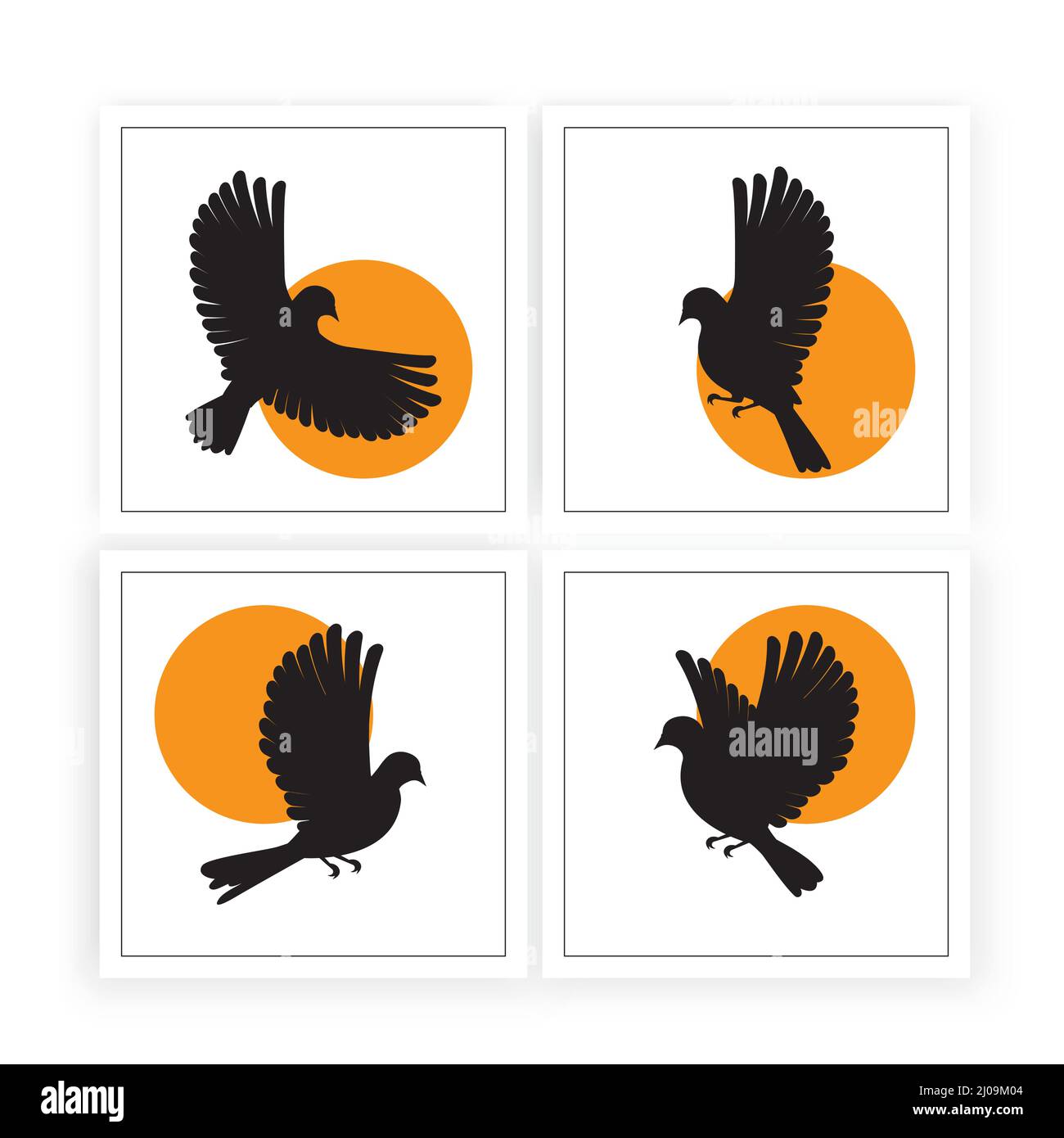 White dove flying in sun Stock Vector Images - Alamy