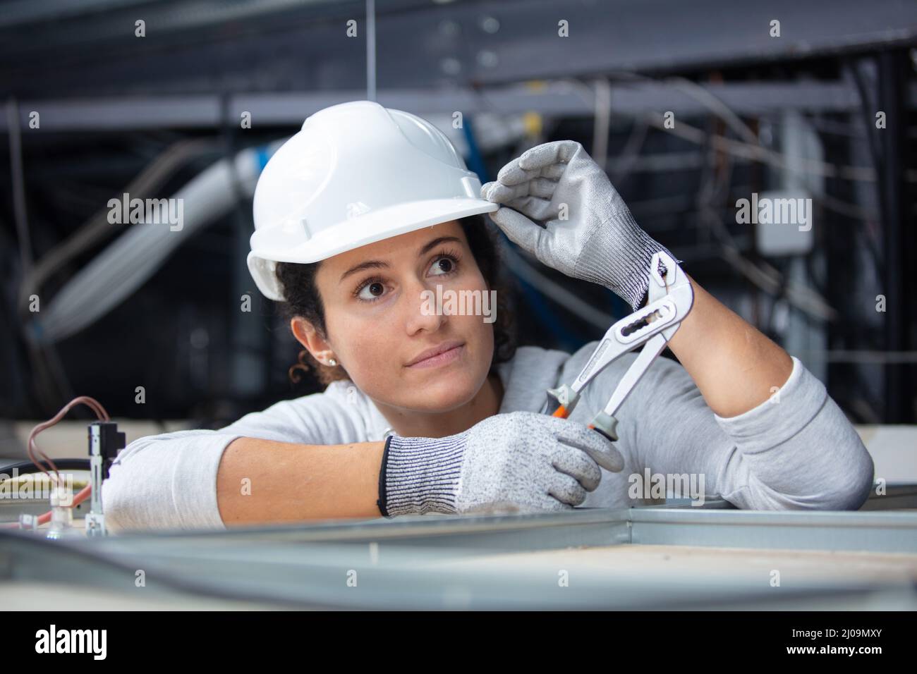 female builder working on building ceiling Stock Photo - Alamy