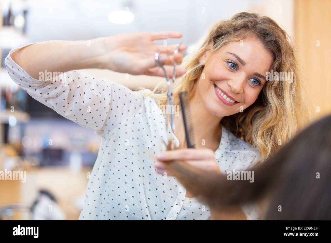 Beautiful female hairdresser making hi-res stock photography and images ...