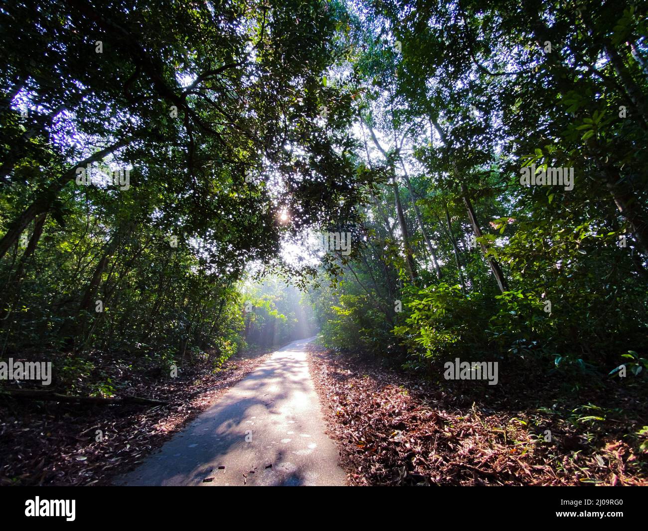 Papan hi-res stock photography and images - Alamy