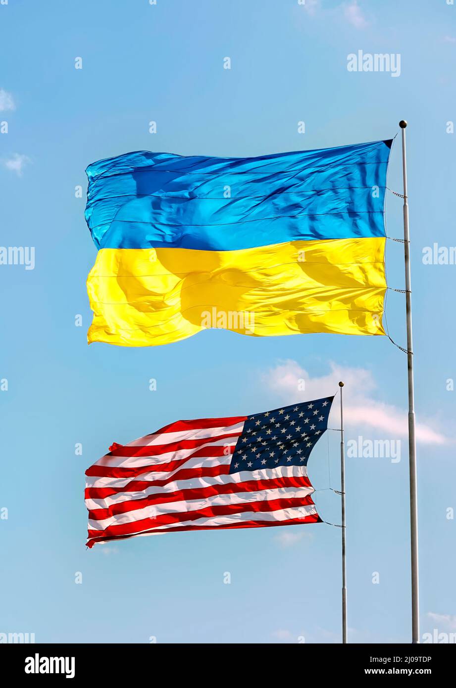 Ukraine and American flag flying togeather with pride Stock Photo - Alamy