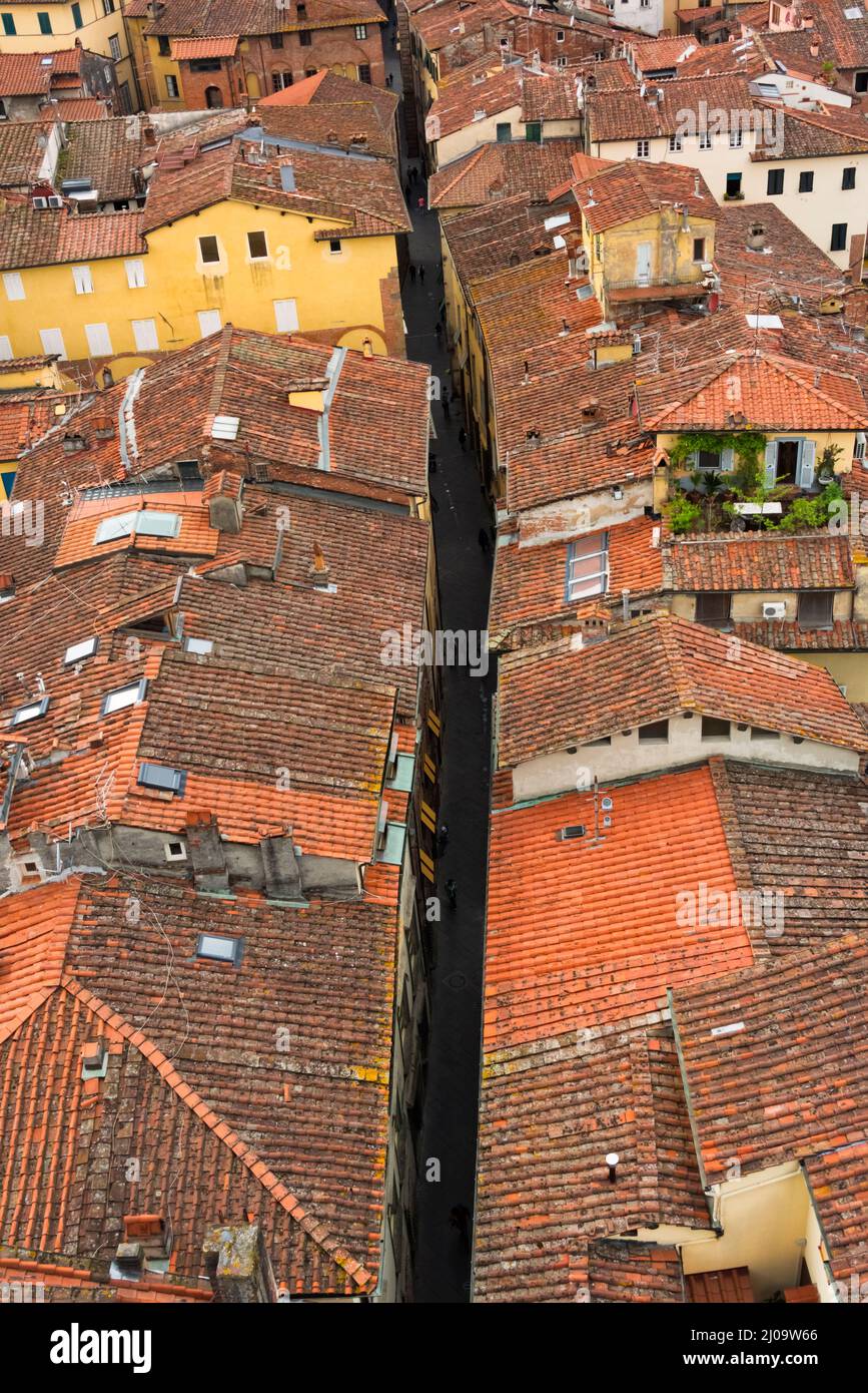 View of red-roof houses of Lucca, Lucca Province, Tuscany Region, Italy ...