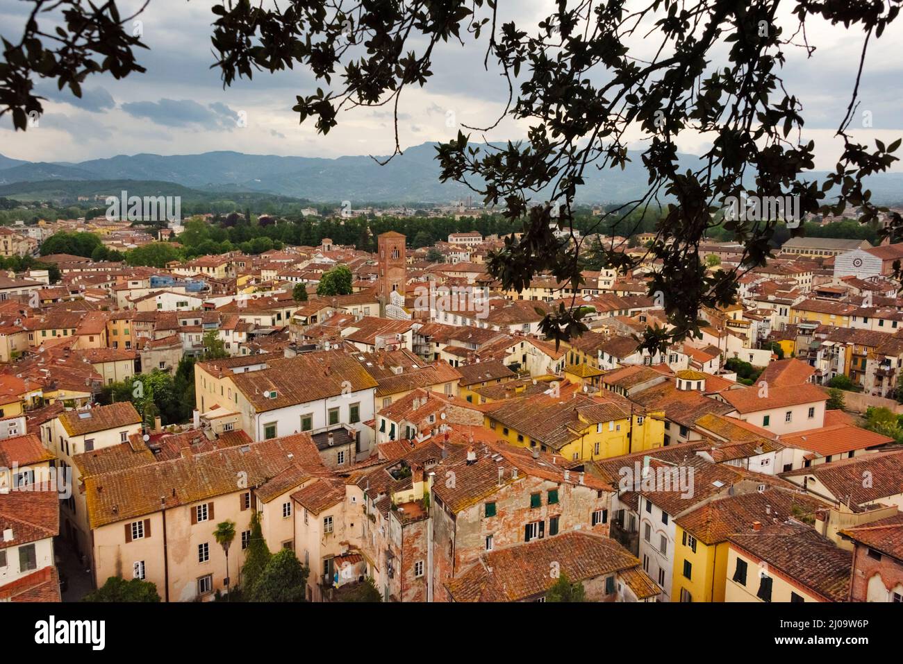 View of red-roof houses of Lucca, Lucca Province, Tuscany Region, Italy ...