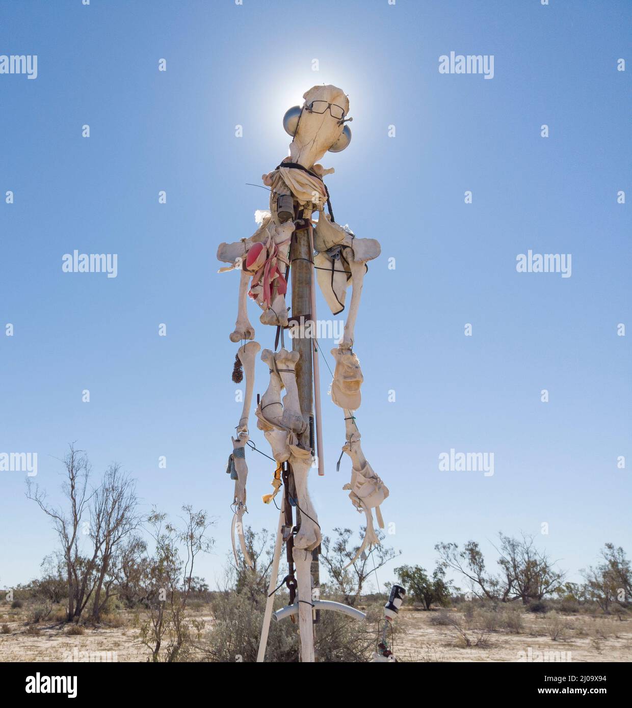 humorous sculpture using animal bones in outback Australia Stock Photo ...