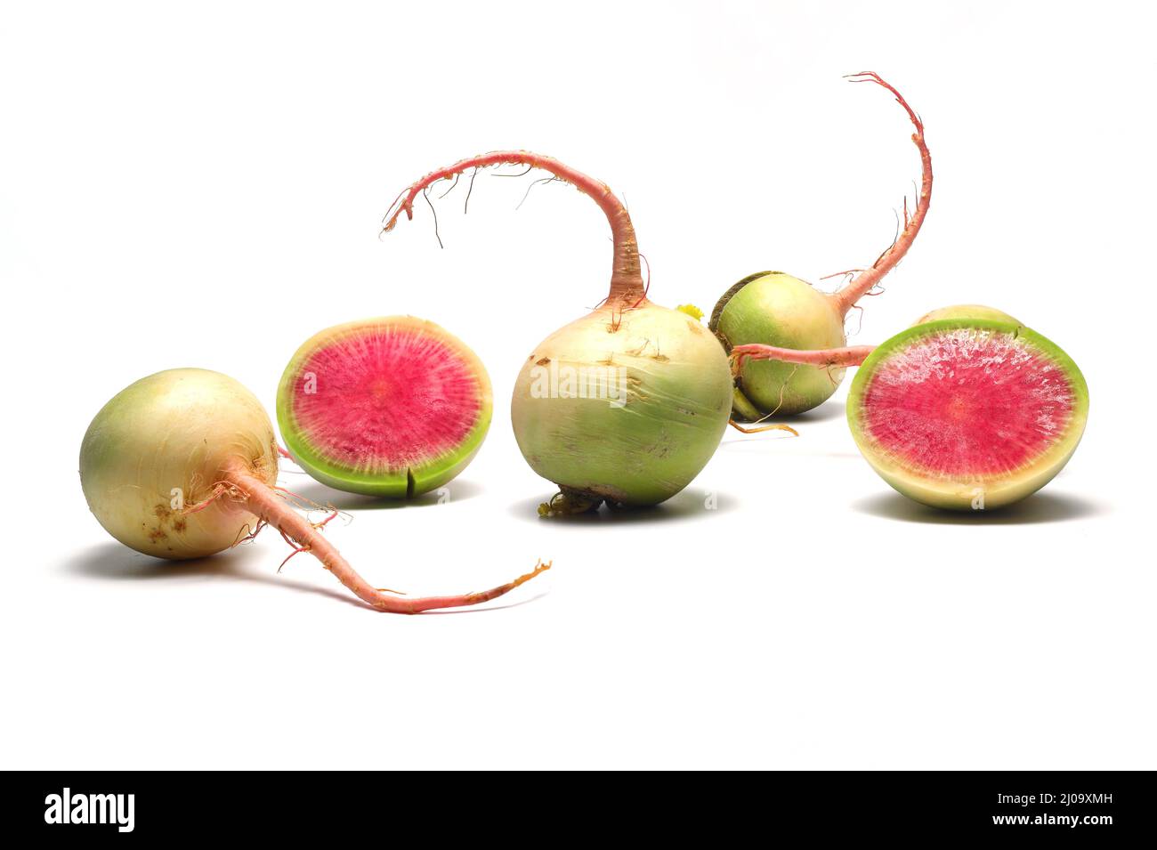 watermelon radish isolated on white background Stock Photo - Alamy