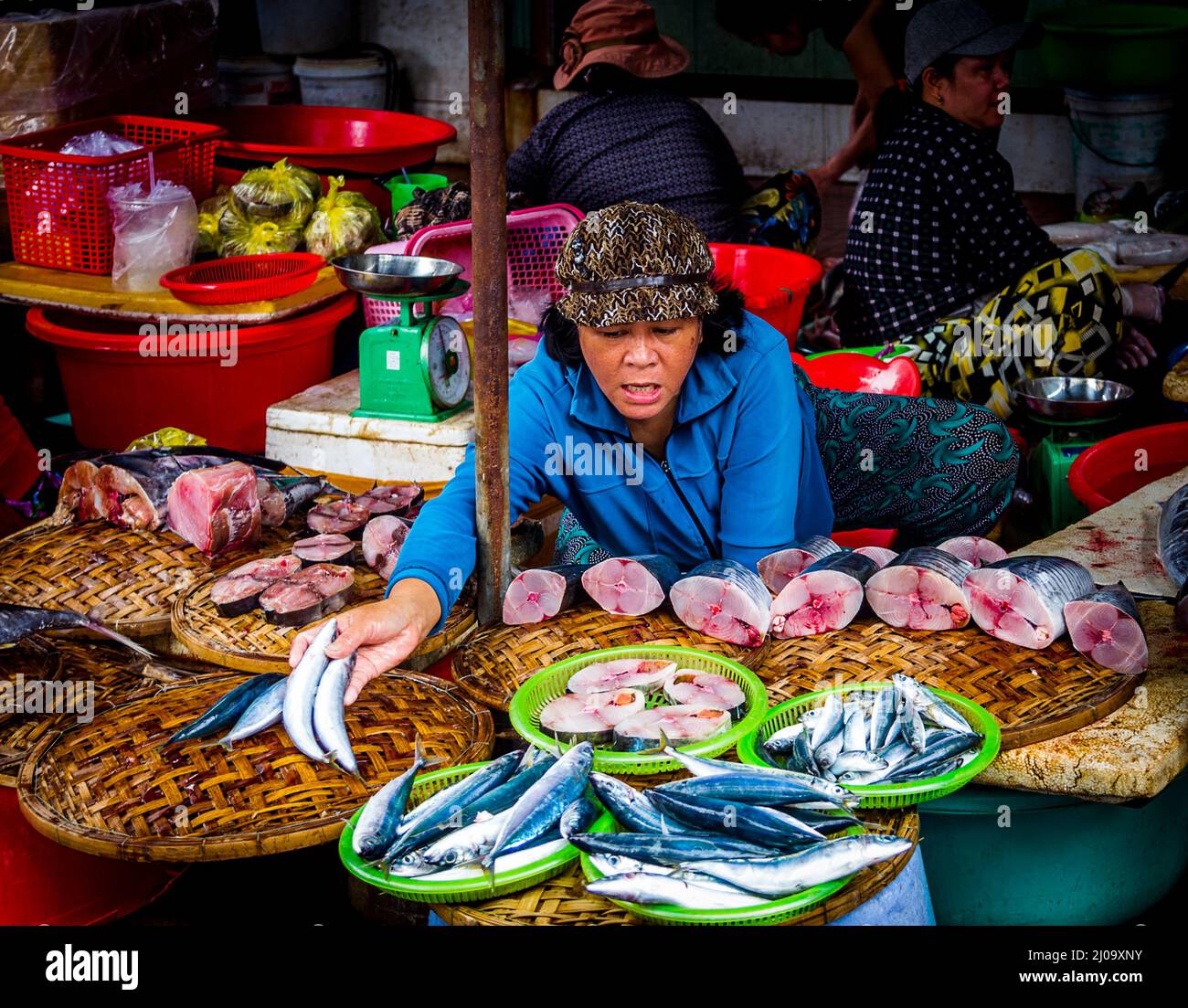 A Vietnamese lady wearing a blue top at the market selling fish in Quy ...