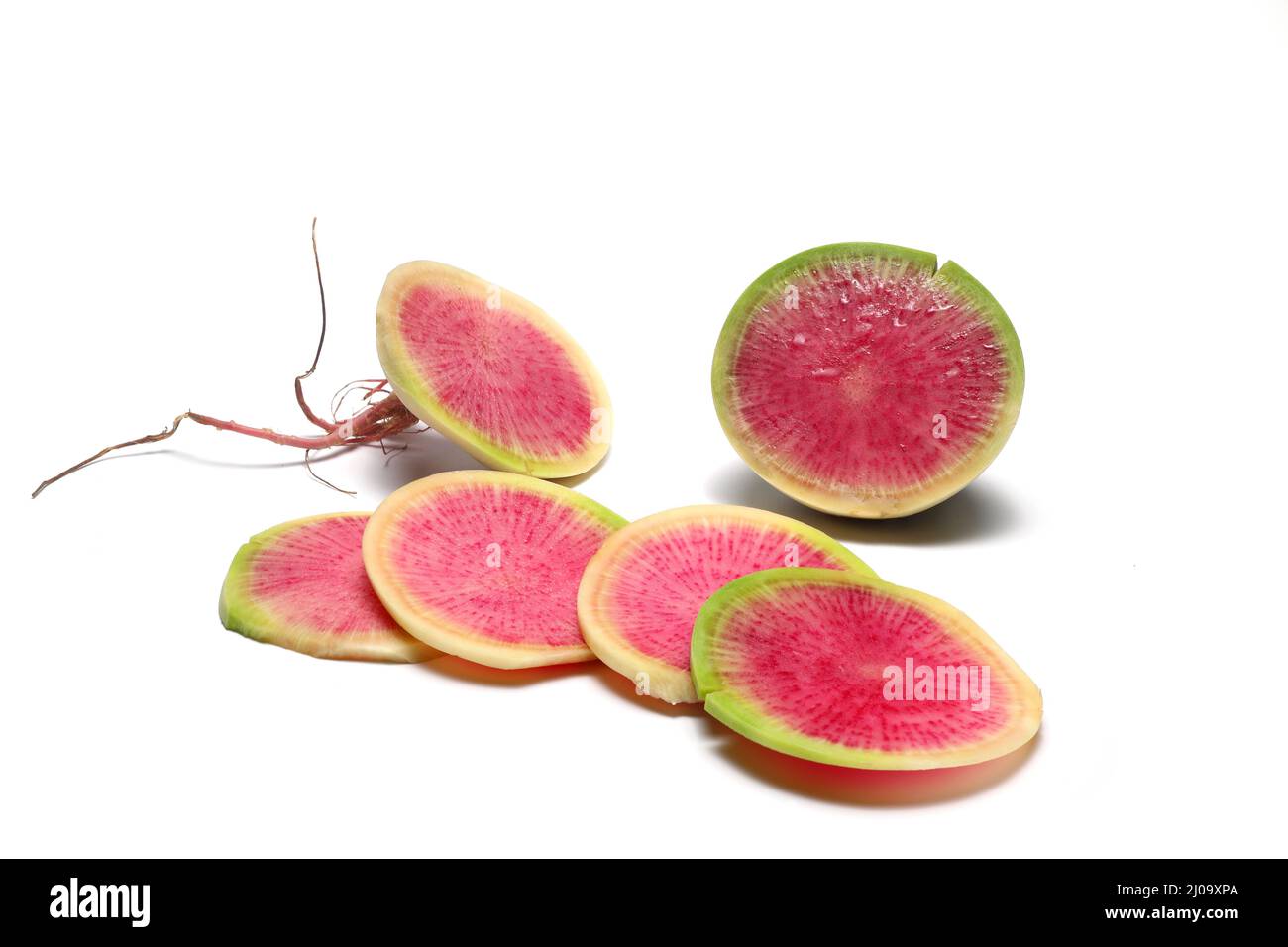 watermelon radish isolated on white background Stock Photo - Alamy