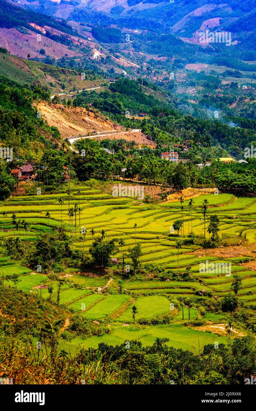 Vietnam agriculture burn hi-res stock photography and images - Alamy