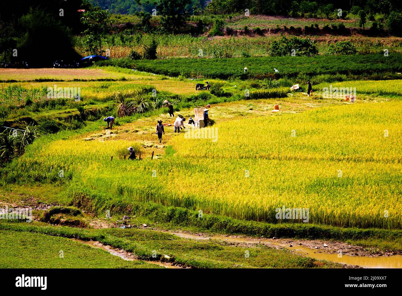 Central asia highlands hi-res stock photography and images - Alamy