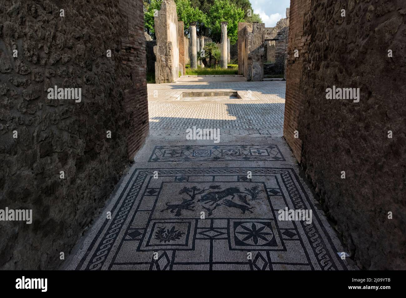Floor mosaic pompeii hi-res stock photography and images - Alamy