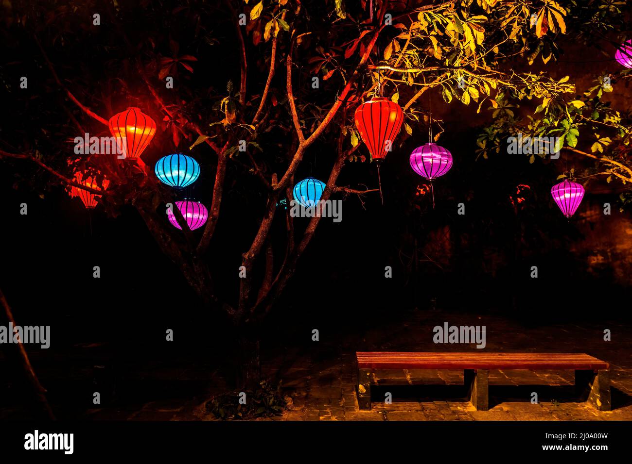 A bnech under a tree with colored lanterns hanging from it. A bench is ...