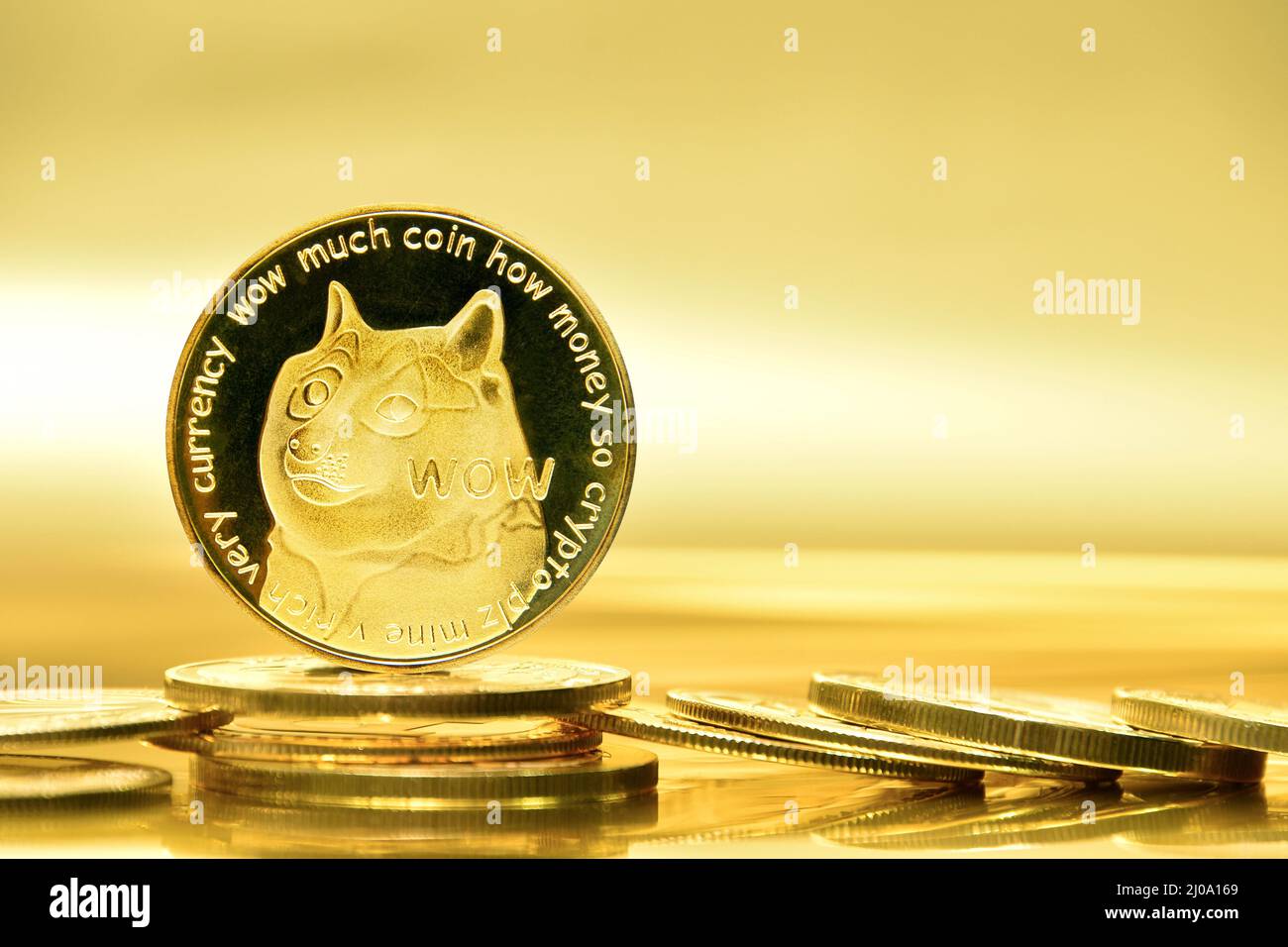 Dogecoin DOGE cryptocurrency isolated on white background, Face of the ...