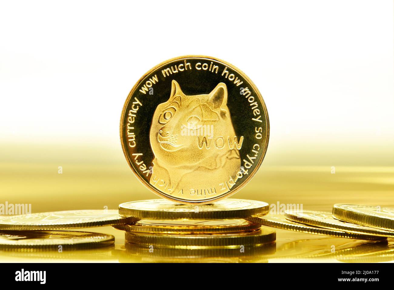 Dogecoin DOGE cryptocurrency isolated on white background, Face of the ...