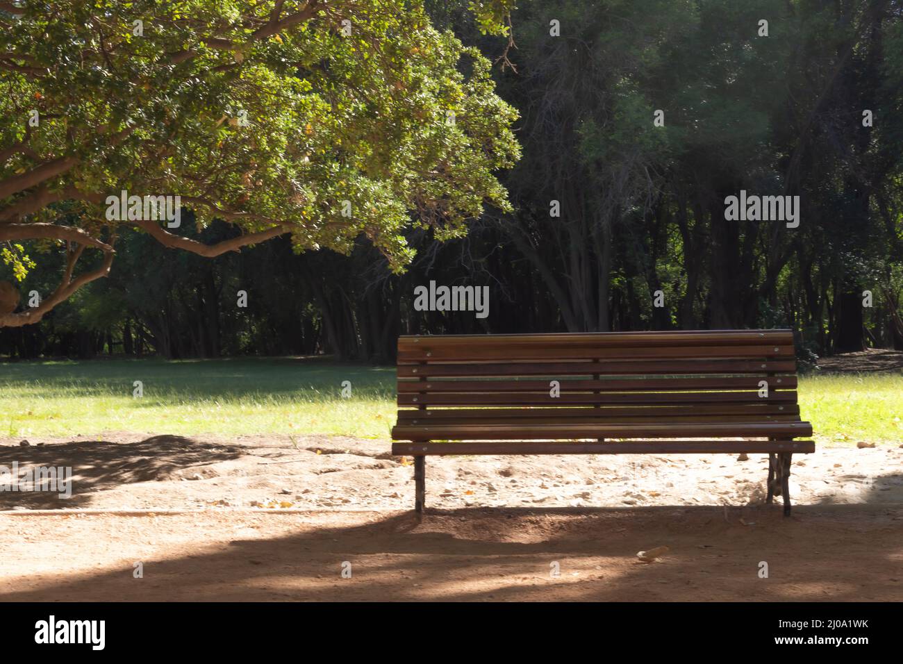 Wooden bench tree hi-res stock photography and images - Alamy