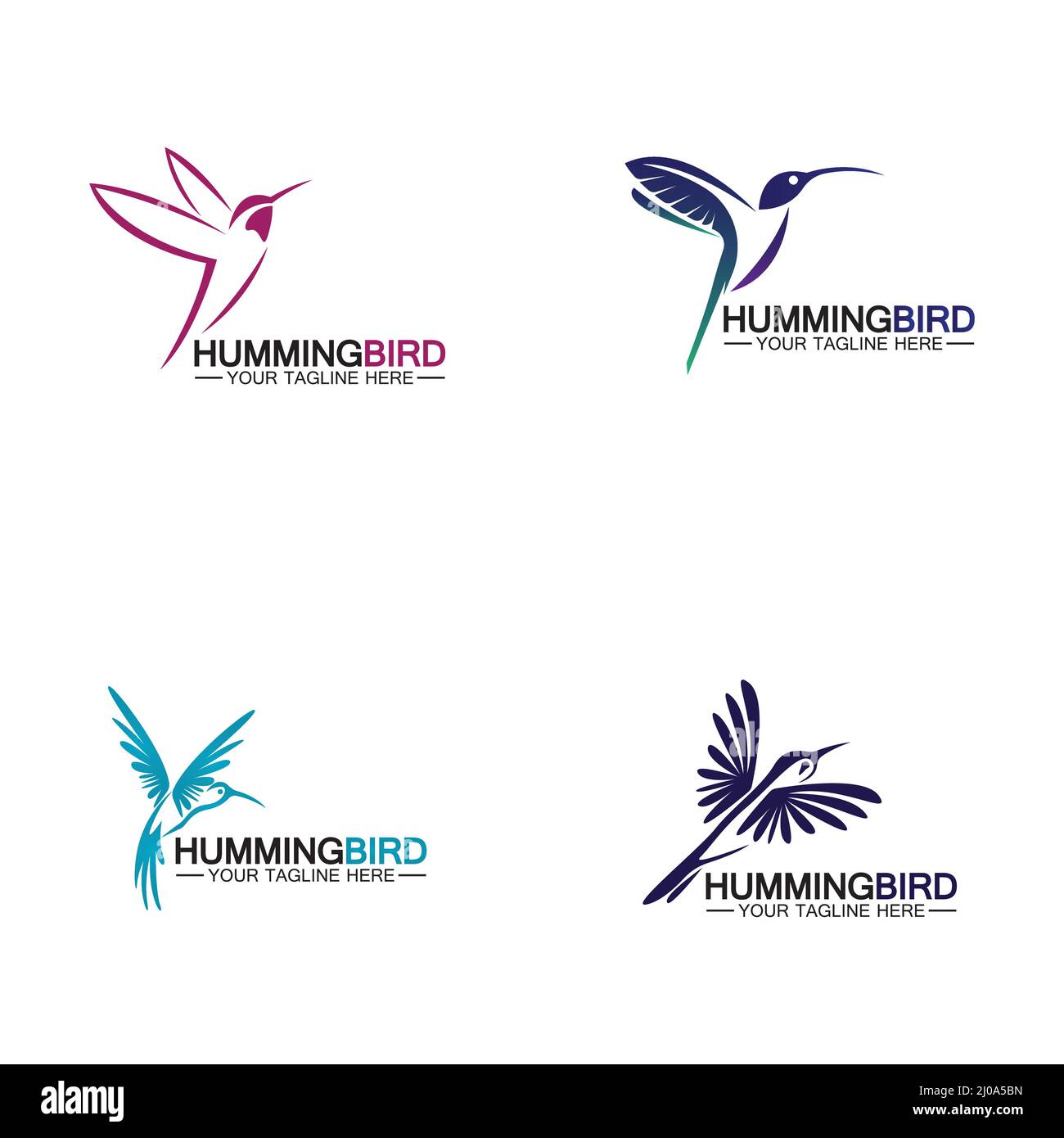 Hummingbird logo design vector template Stock Vector Image & Art - Alamy