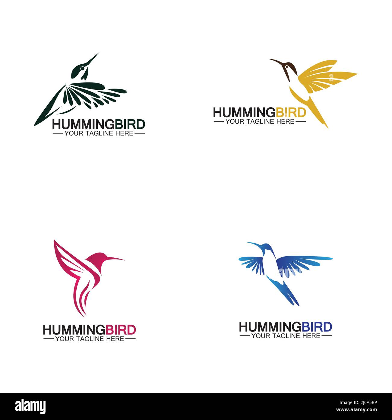 Hummingbird logo design vector template Stock Vector Image & Art - Alamy