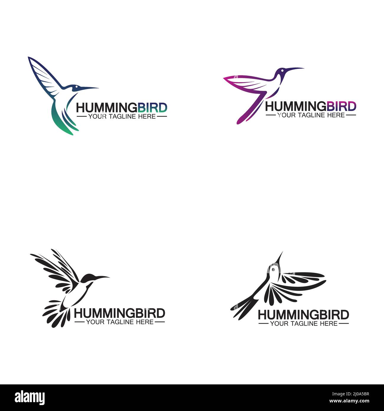 Hummingbird logo design vector template Stock Vector Image & Art - Alamy
