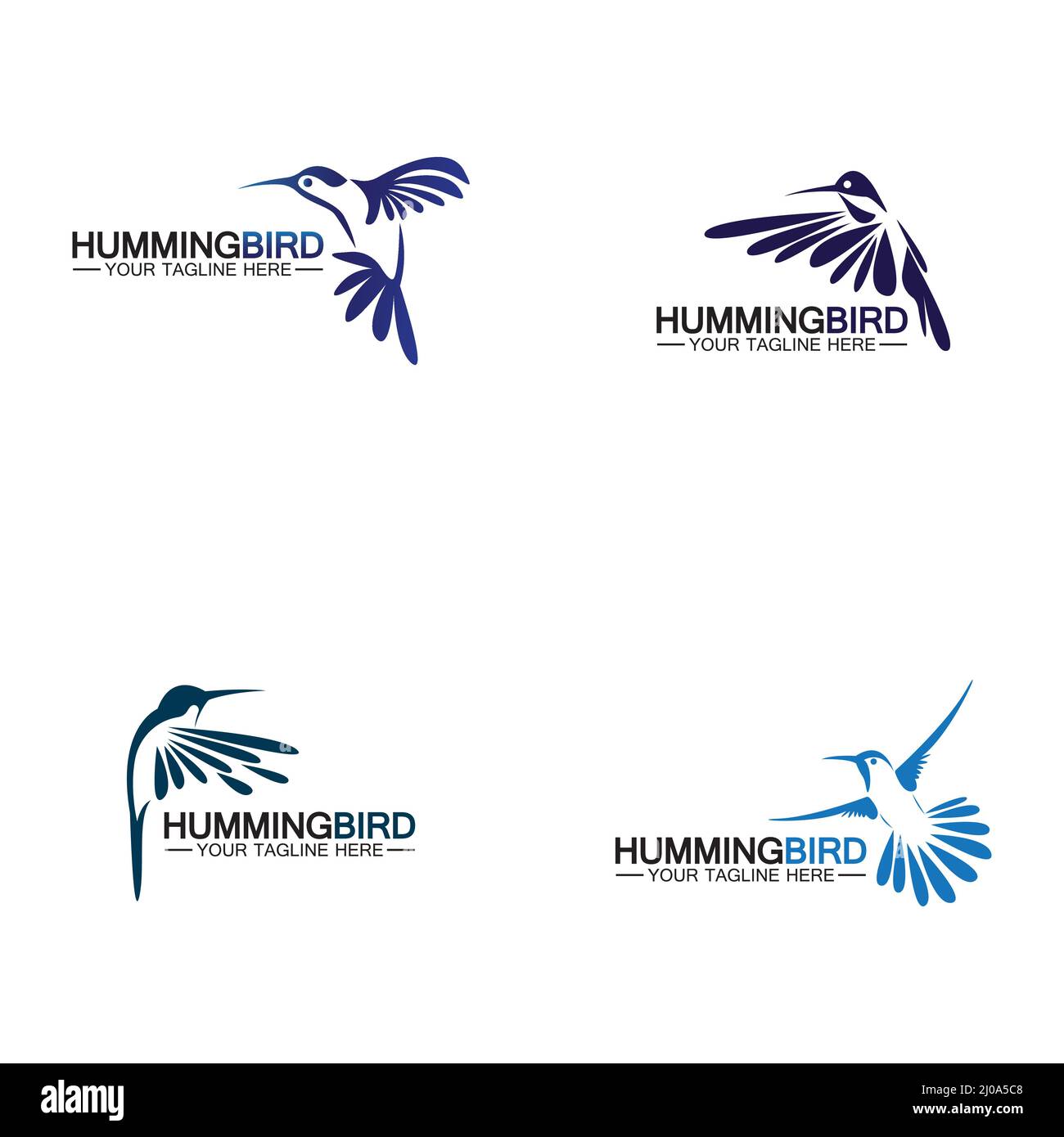 Hummingbird logo design vector template Stock Vector Image & Art - Alamy