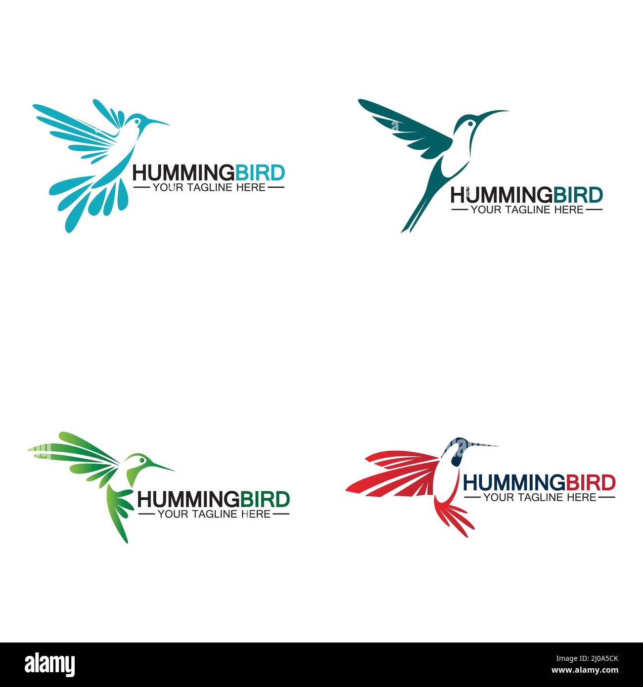 Hummingbird logo design vector template Stock Vector Image & Art - Alamy