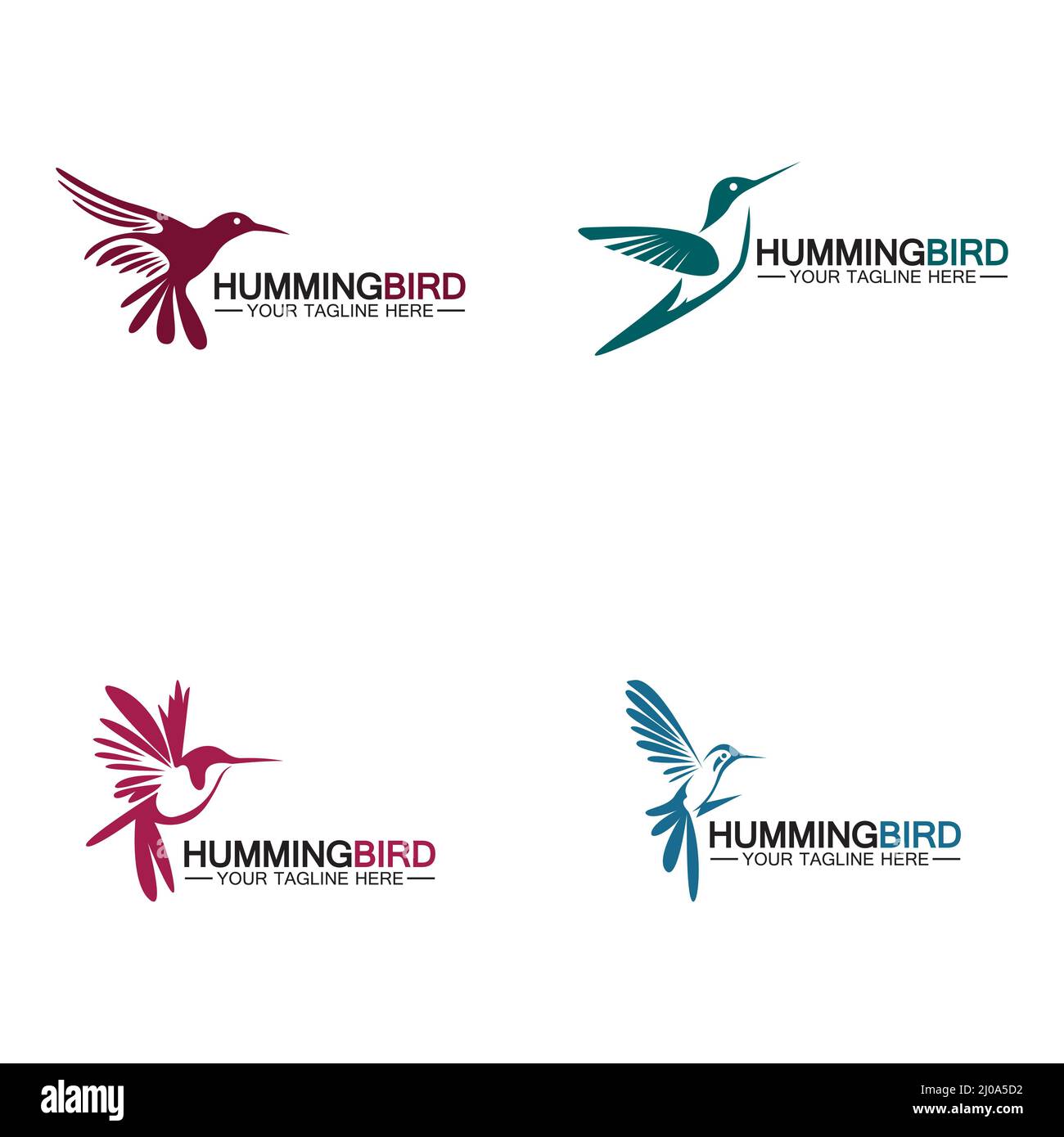 Hummingbird logo design vector template Stock Vector Image & Art - Alamy