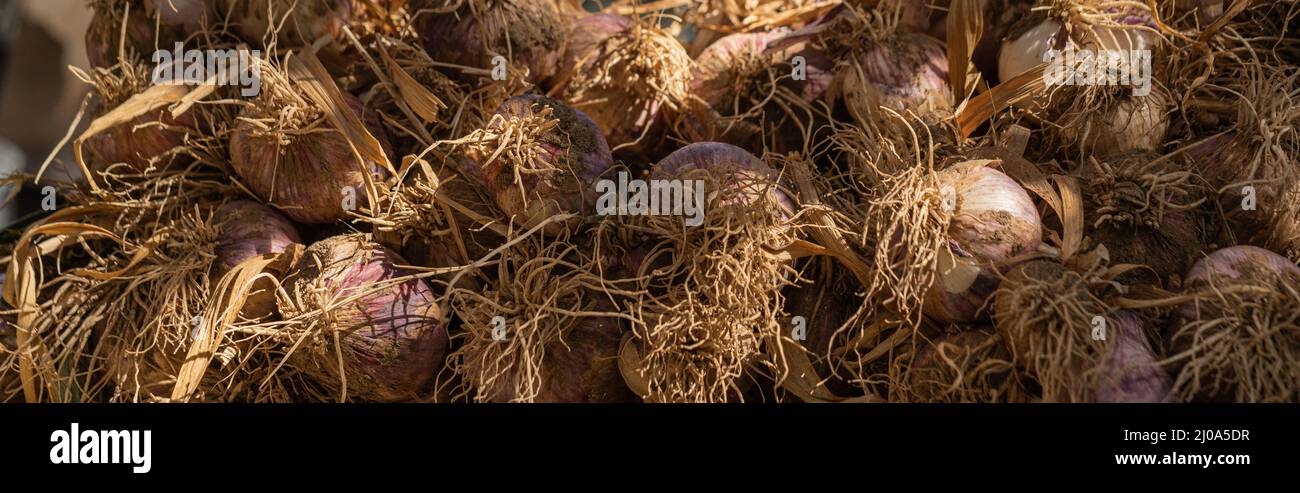 Heap of garlic in local market Stock Photo - Alamy