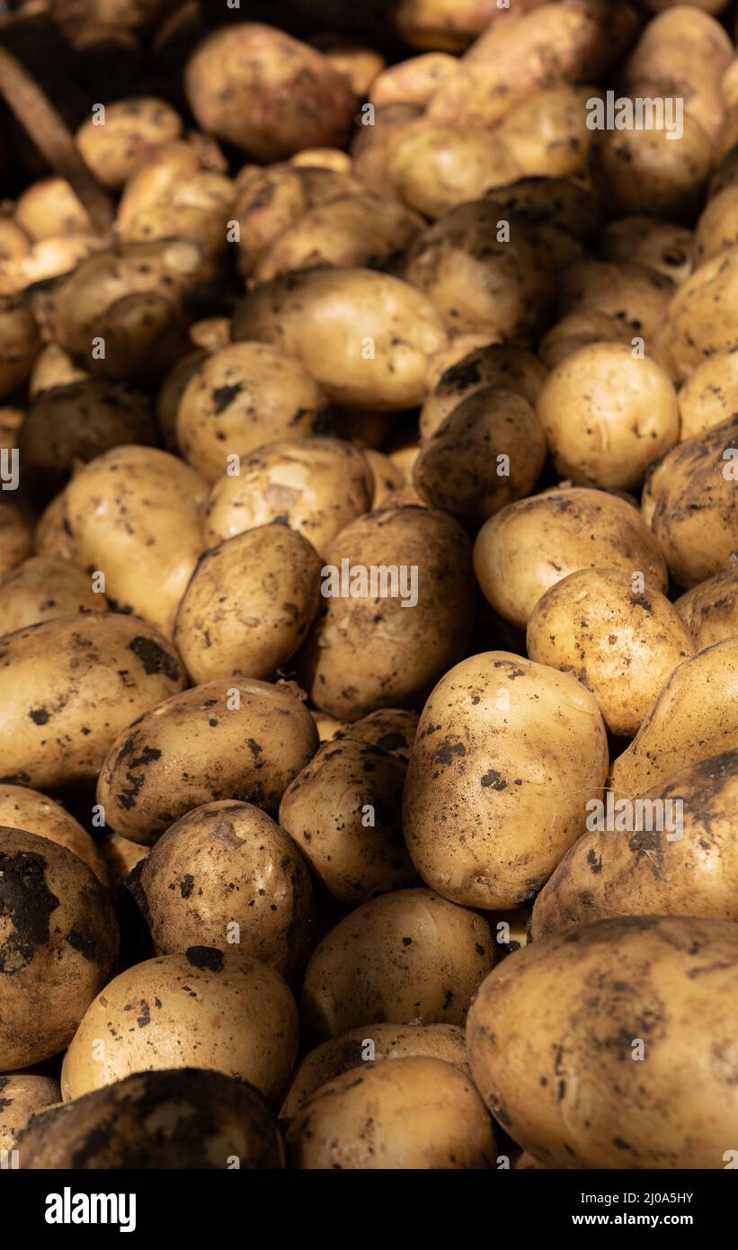 Food fresh market hi-res stock photography and images - Alamy