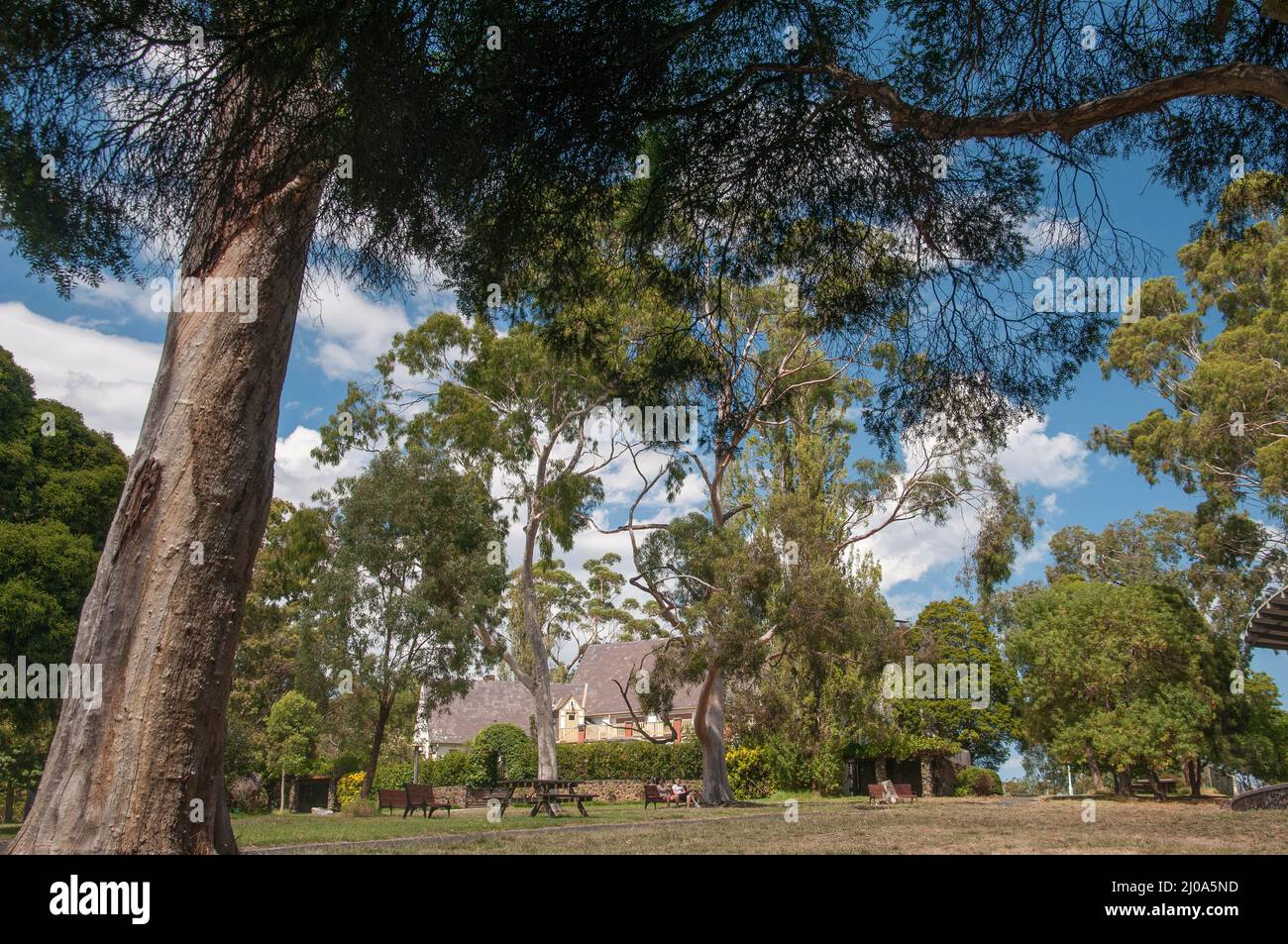 Opened in 1917, Melbourne's Wattle Park is a 55-hectare parkland at the ...