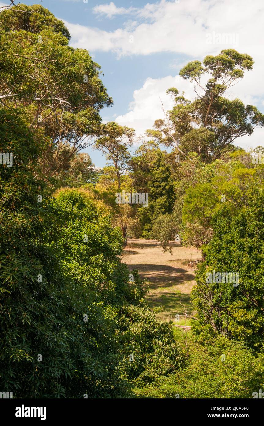 Opened in 1917, Melbourne's Wattle Park is a 55-hectare parkland at the ...