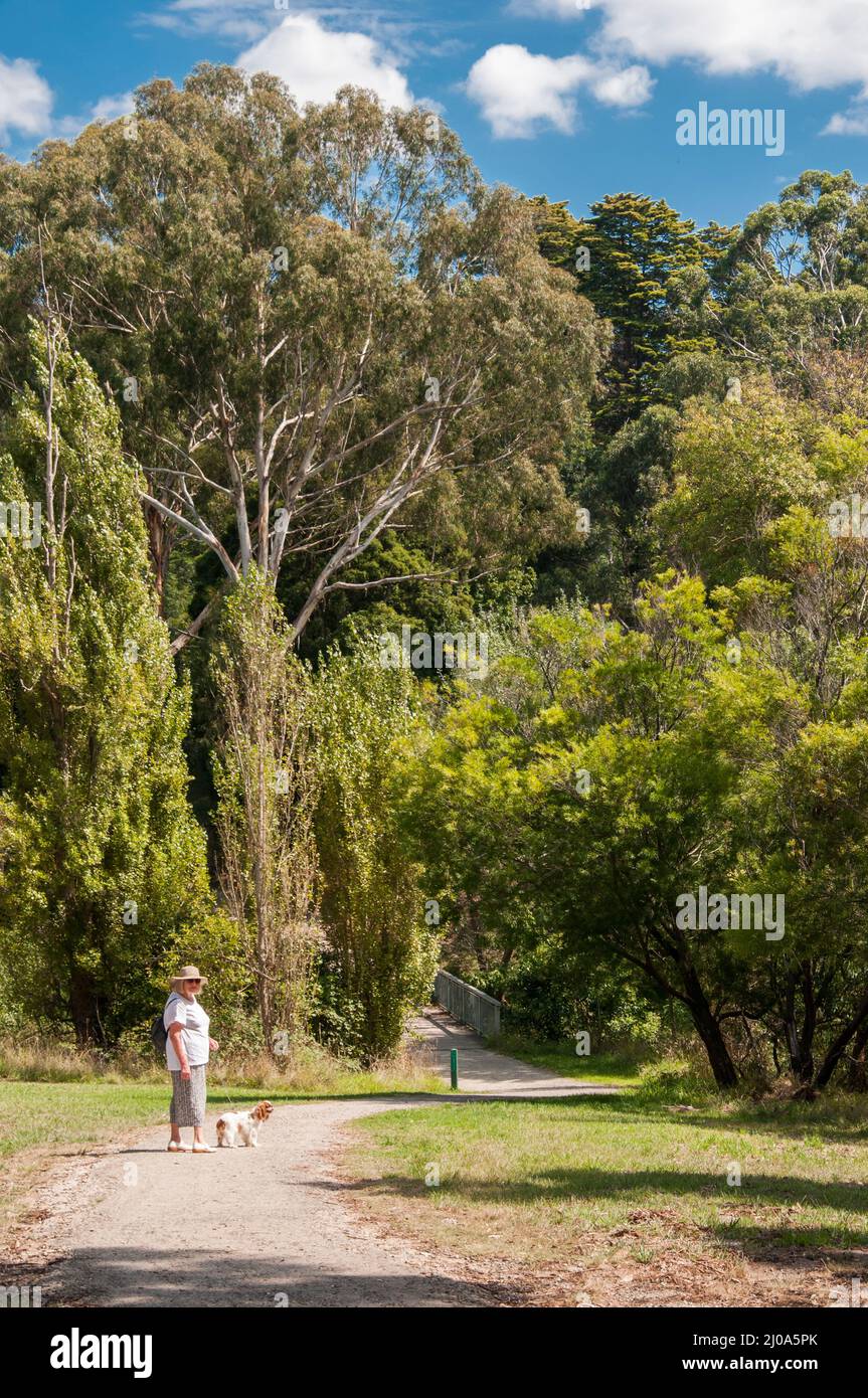 Opened in 1917, Melbourne's Wattle Park is a 55-hectare parkland at the ...