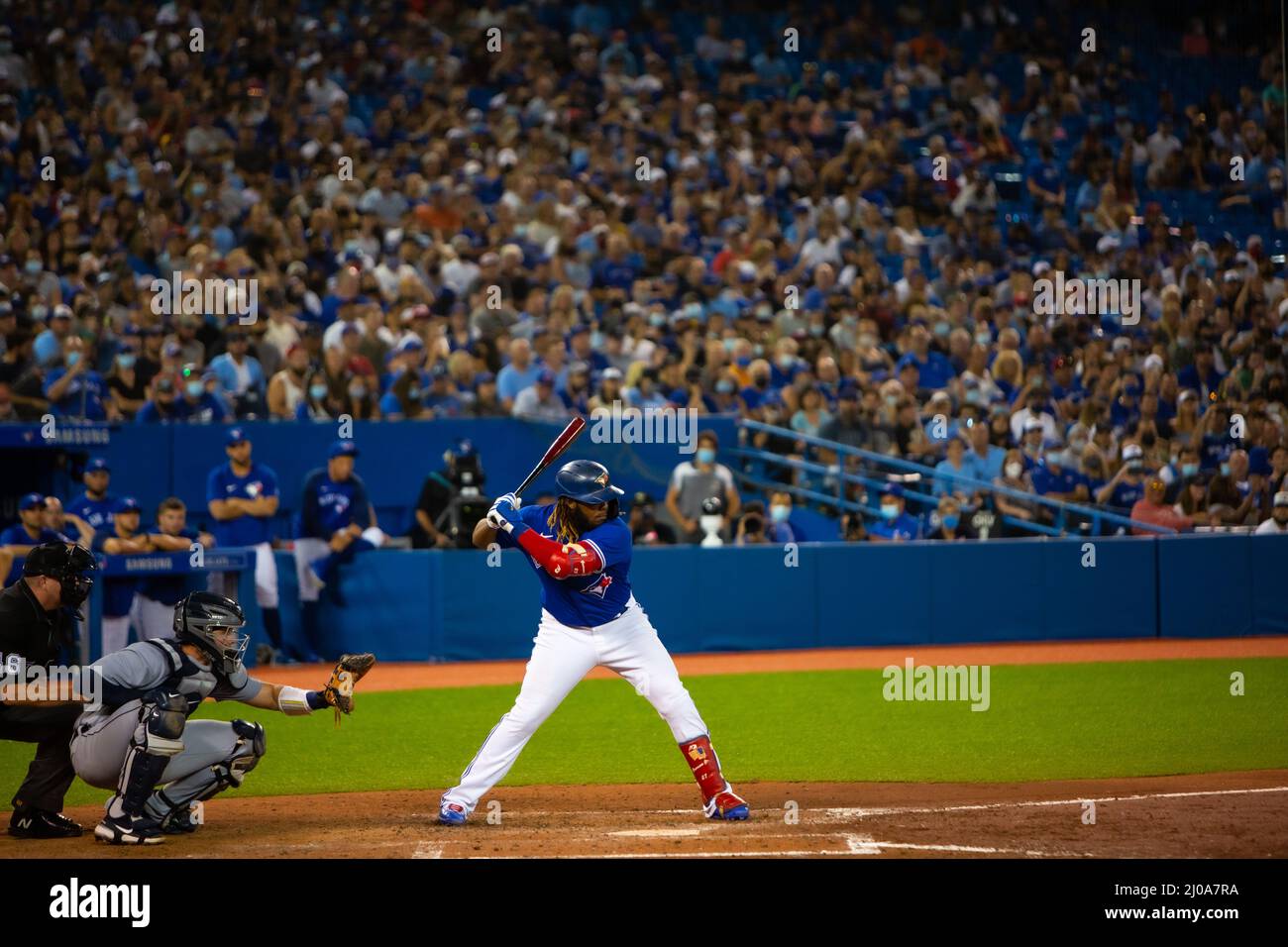 Toronto Blue Jays first baseman Valdimir Guerrero Jr. steps up to plate ...